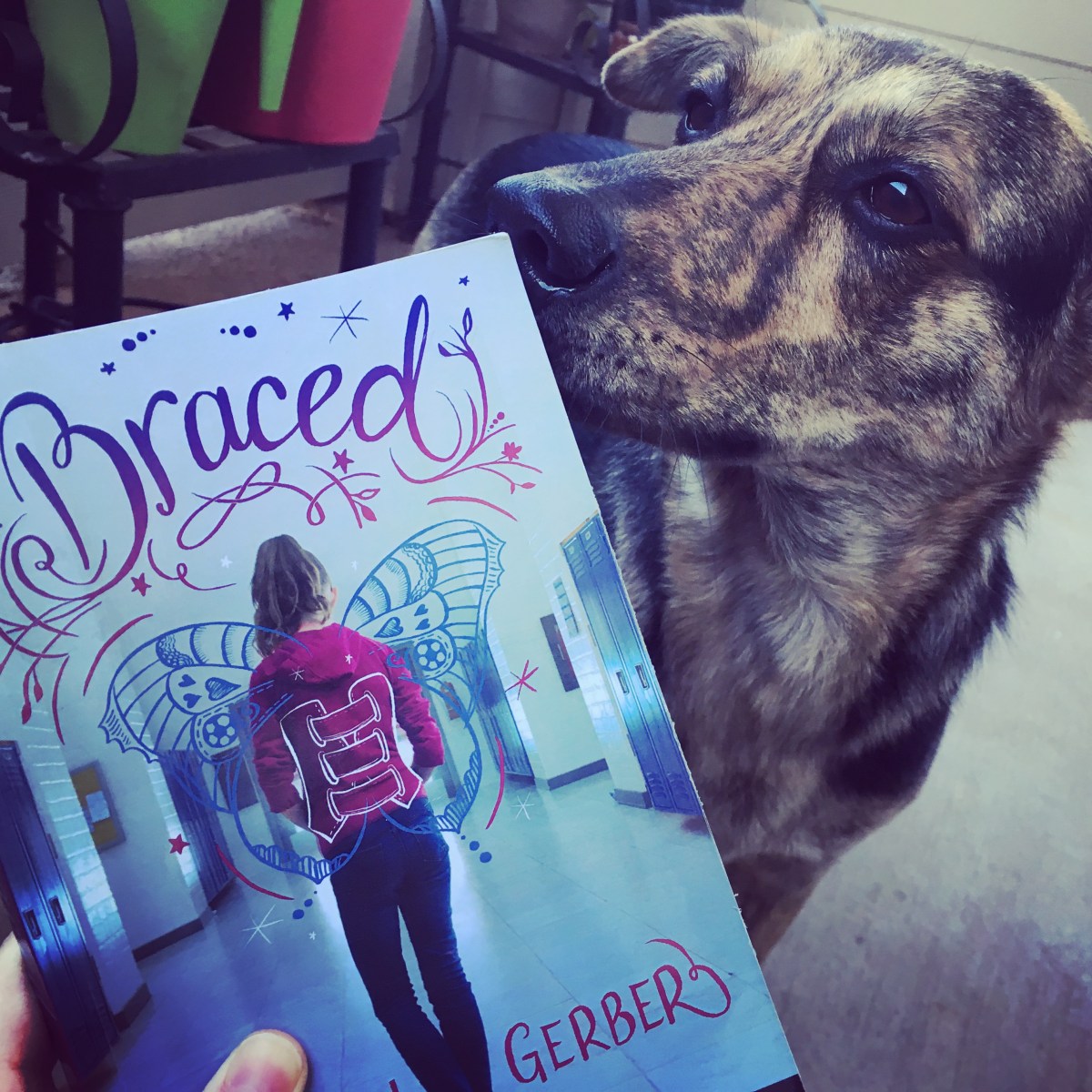 Braced: Book Rave | Kim Ventrella