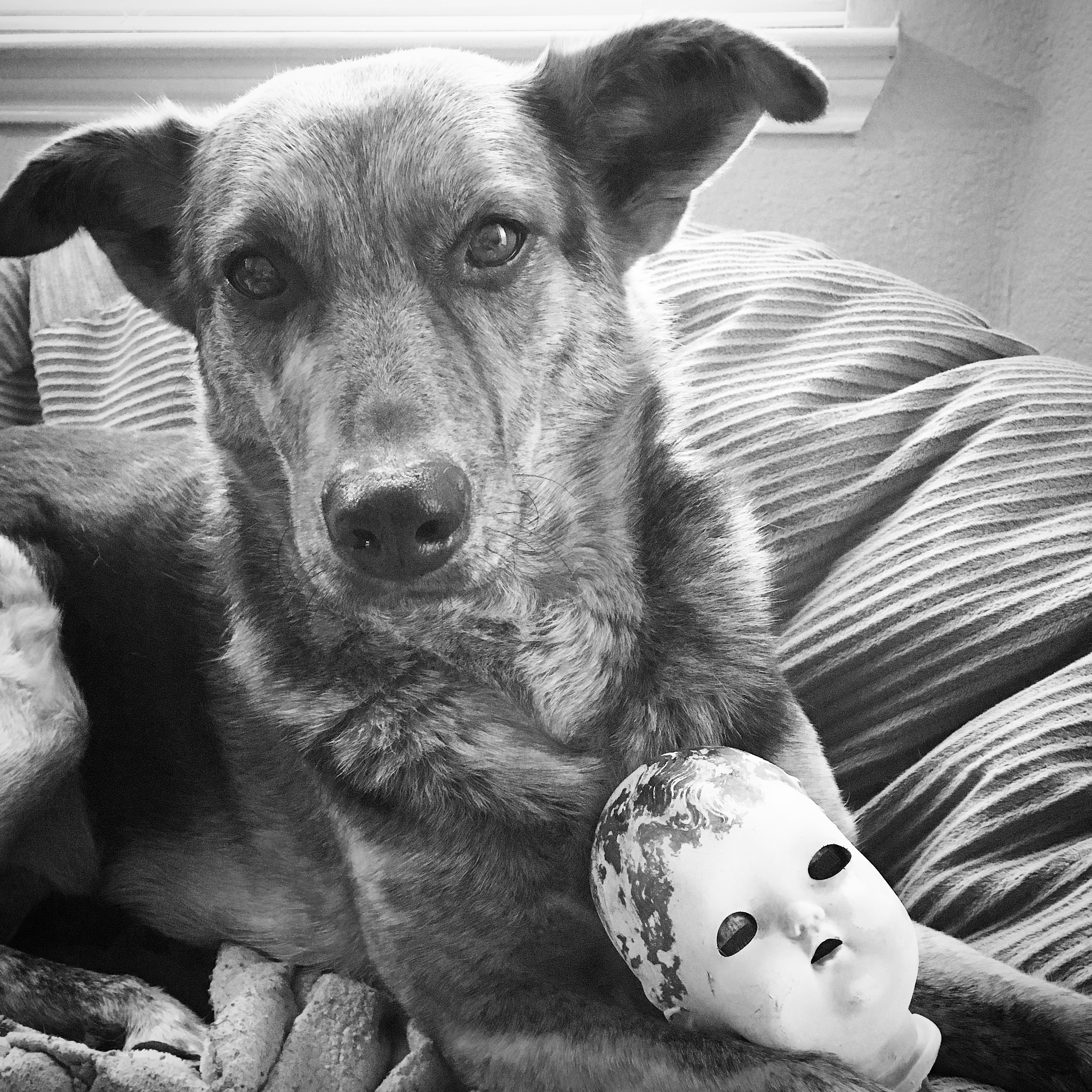 Hera + Creepy Doll = True Love | Kim Ventrella